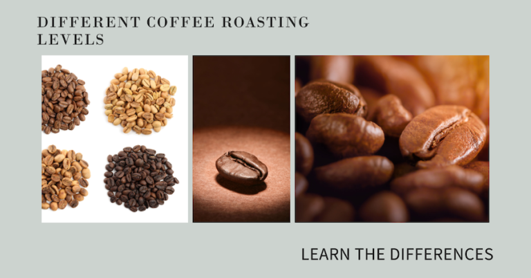 Different Coffee Roasts Levels: Dark, Medium, & Light Explained Different Coffee Roasts Levels: Dark, Medium, & Light Explained