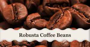 Robusta Coffee Beans: A Deep Dive into Flavor, Benefits, and Brewing