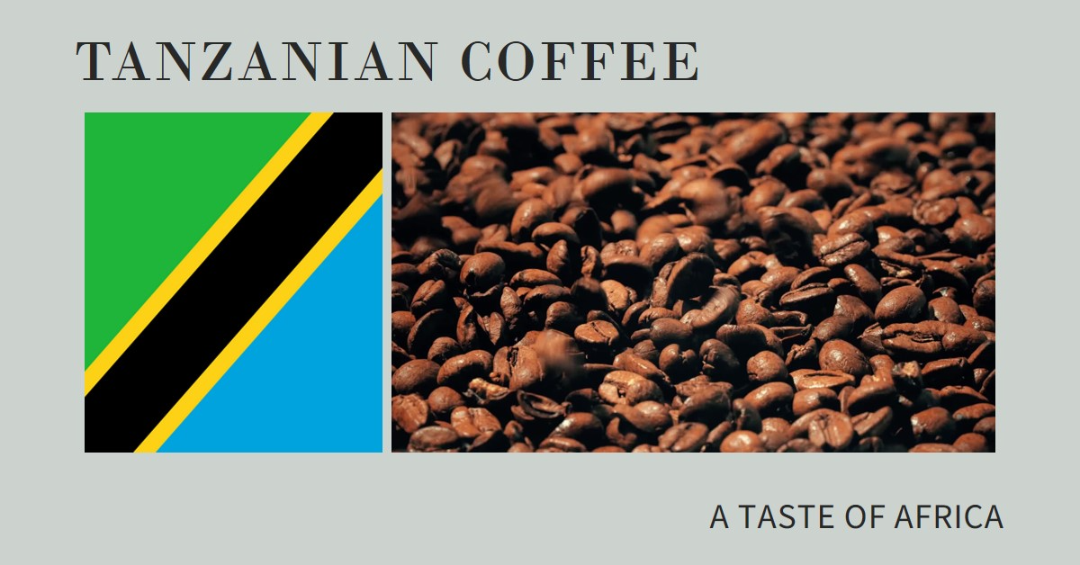 The Rise of Tanzanian Coffee: Exploring From Bean To Cup