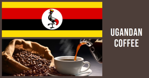 Exploring the Heart of Ugandan Coffee: History, Production, and Impact